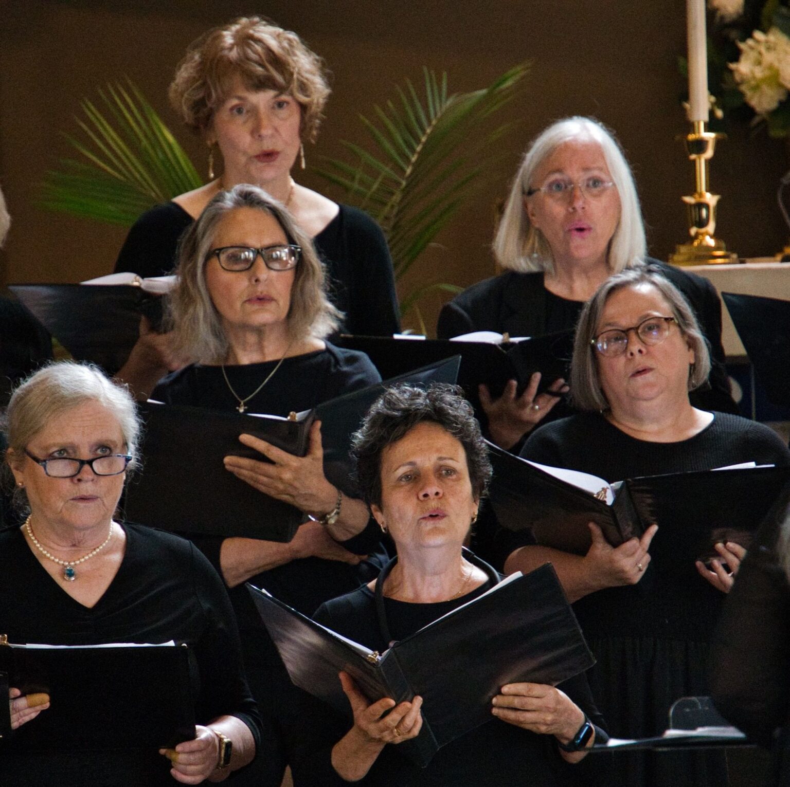 Concert: A World of Gratitude | Meridian Women's Chorus